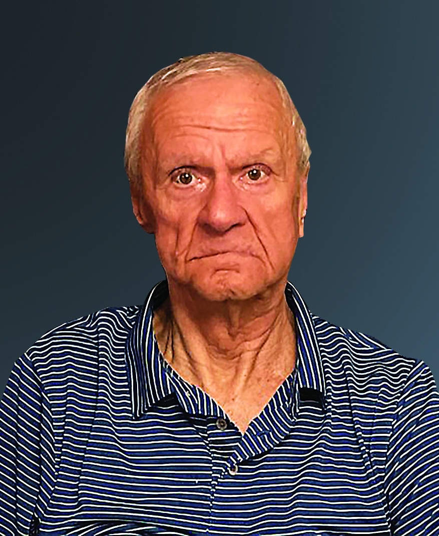 NEDŽAD (FERID) HADŽISELIMOVIĆ